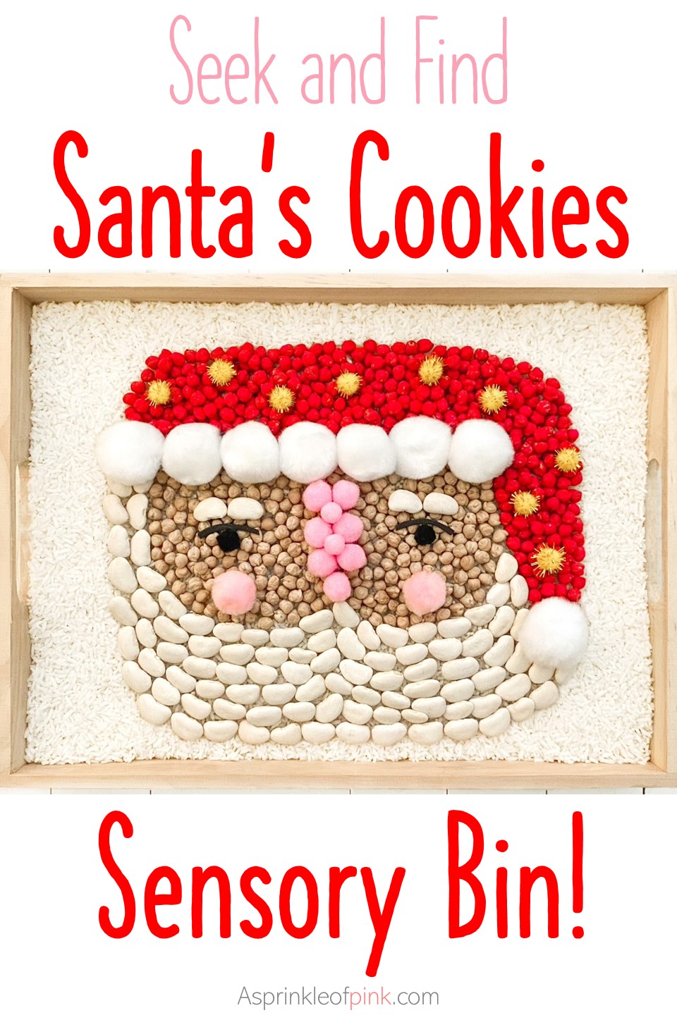Seek and Find Santa's Cookies Sensory Bin!